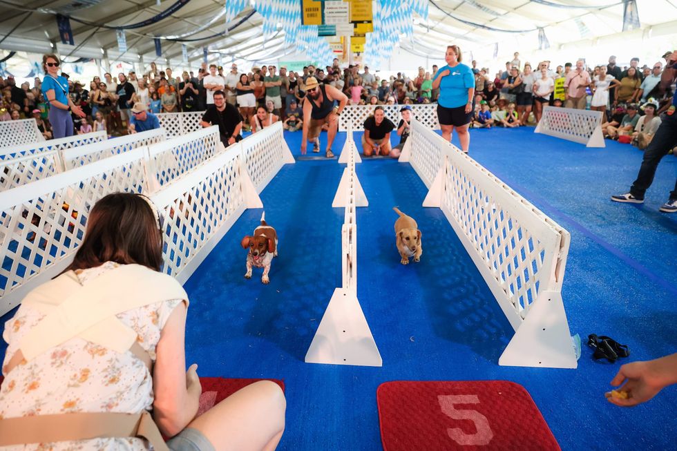 Celebrate Addison Oktoberfest with bratwursts + bier - CultureMap Dallas