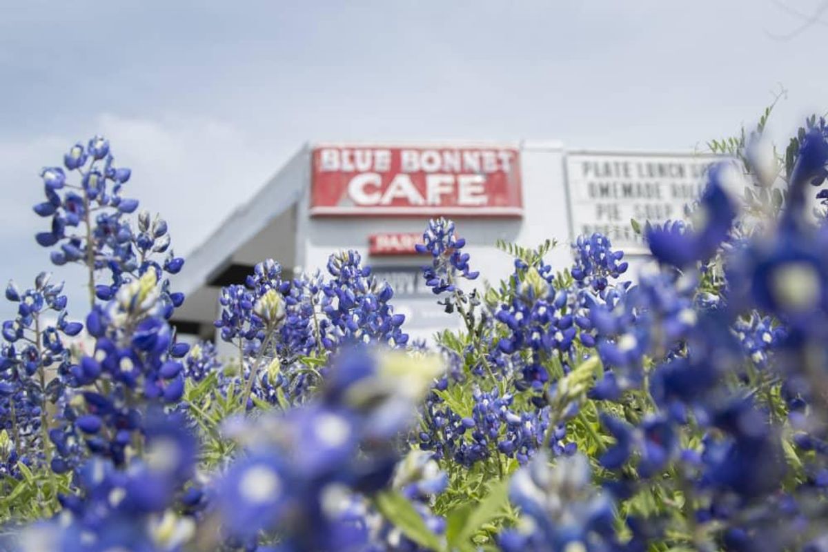Blue Bonnet Cafe has been serving down-home goodness — along with ...