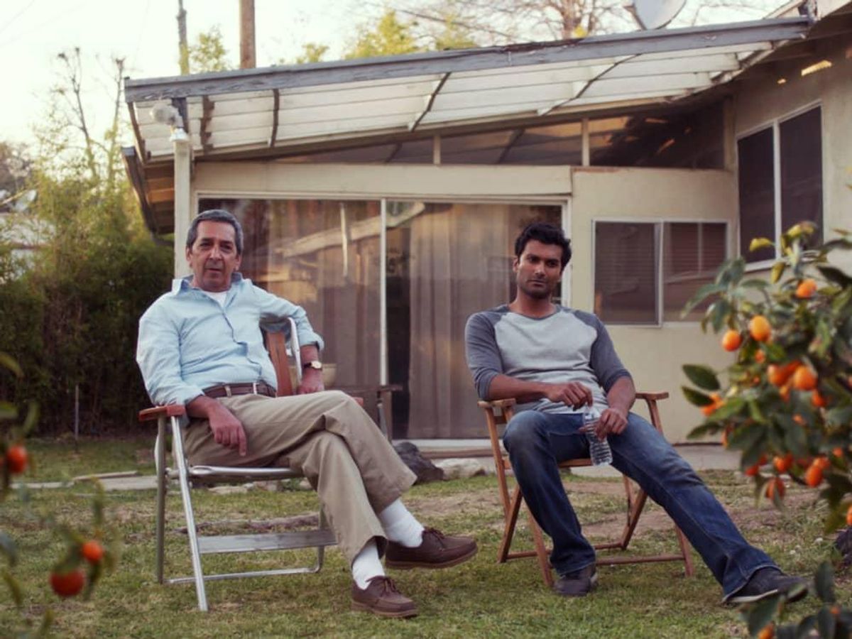 Brahmin Bulls, a father-and-son story co-starring several American ...