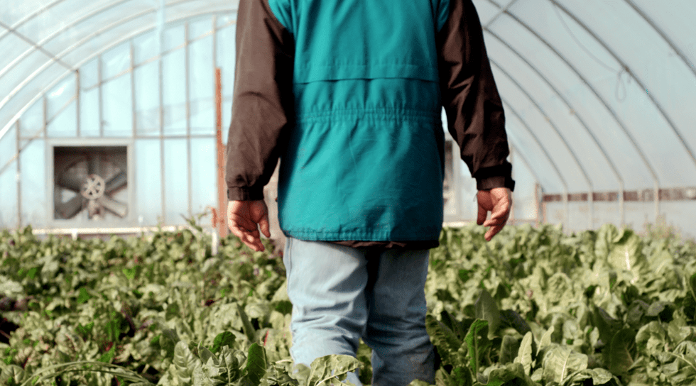 CultureMap Dallas - Dallas Farmers Market