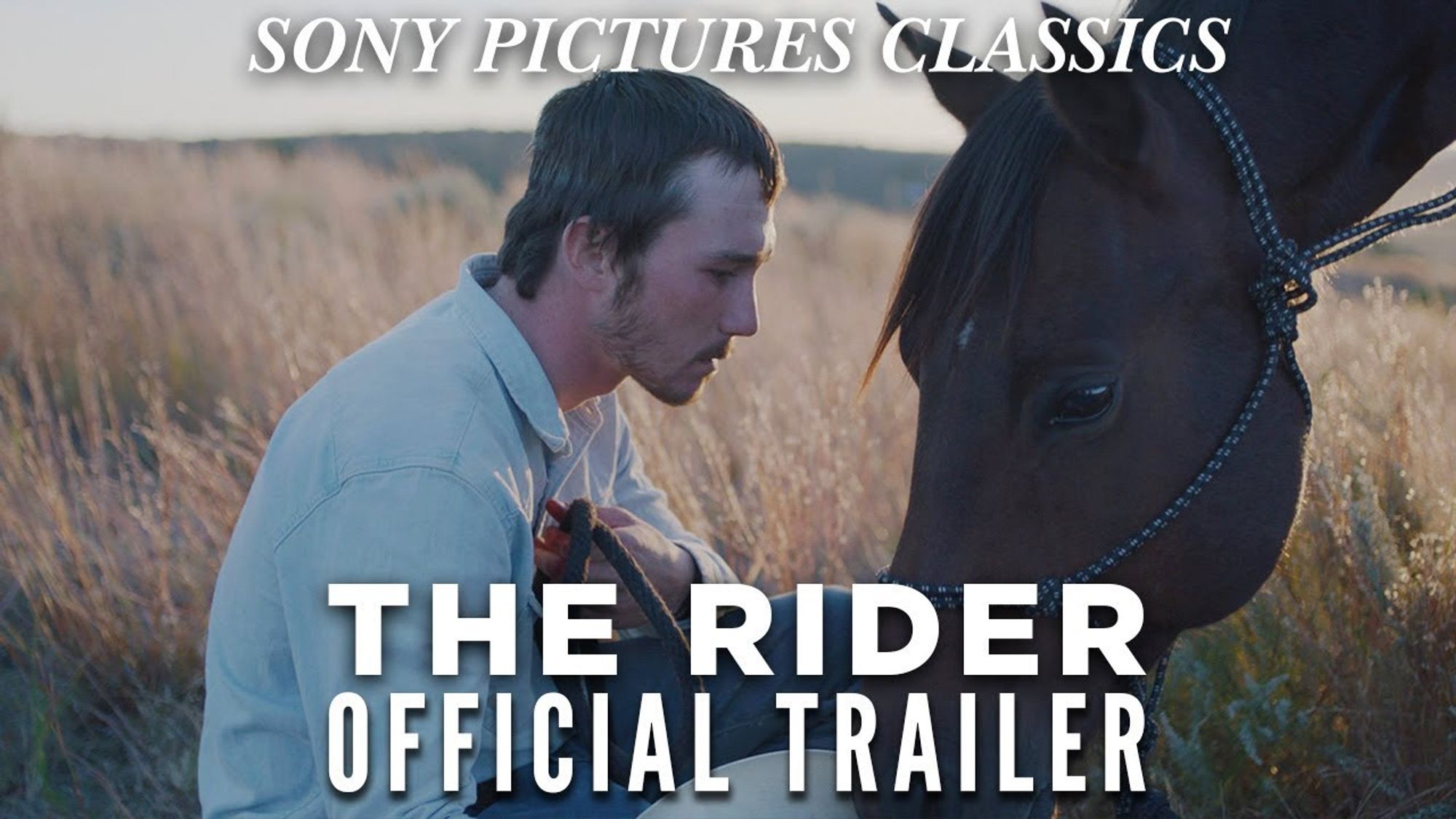 The Rider displays natural authenticity rarely seen in movies ...