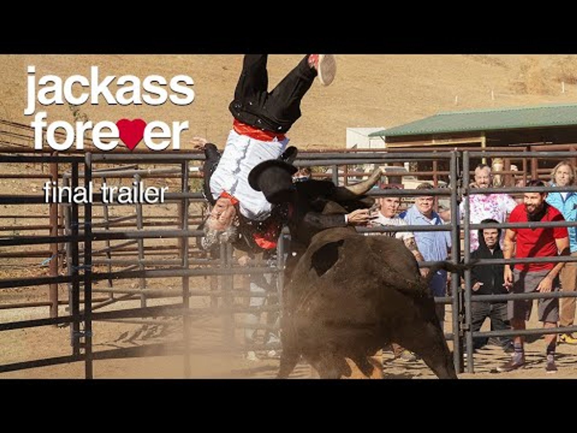 Jackass Forever delights yet again in pain and insanity - CultureMap Dallas