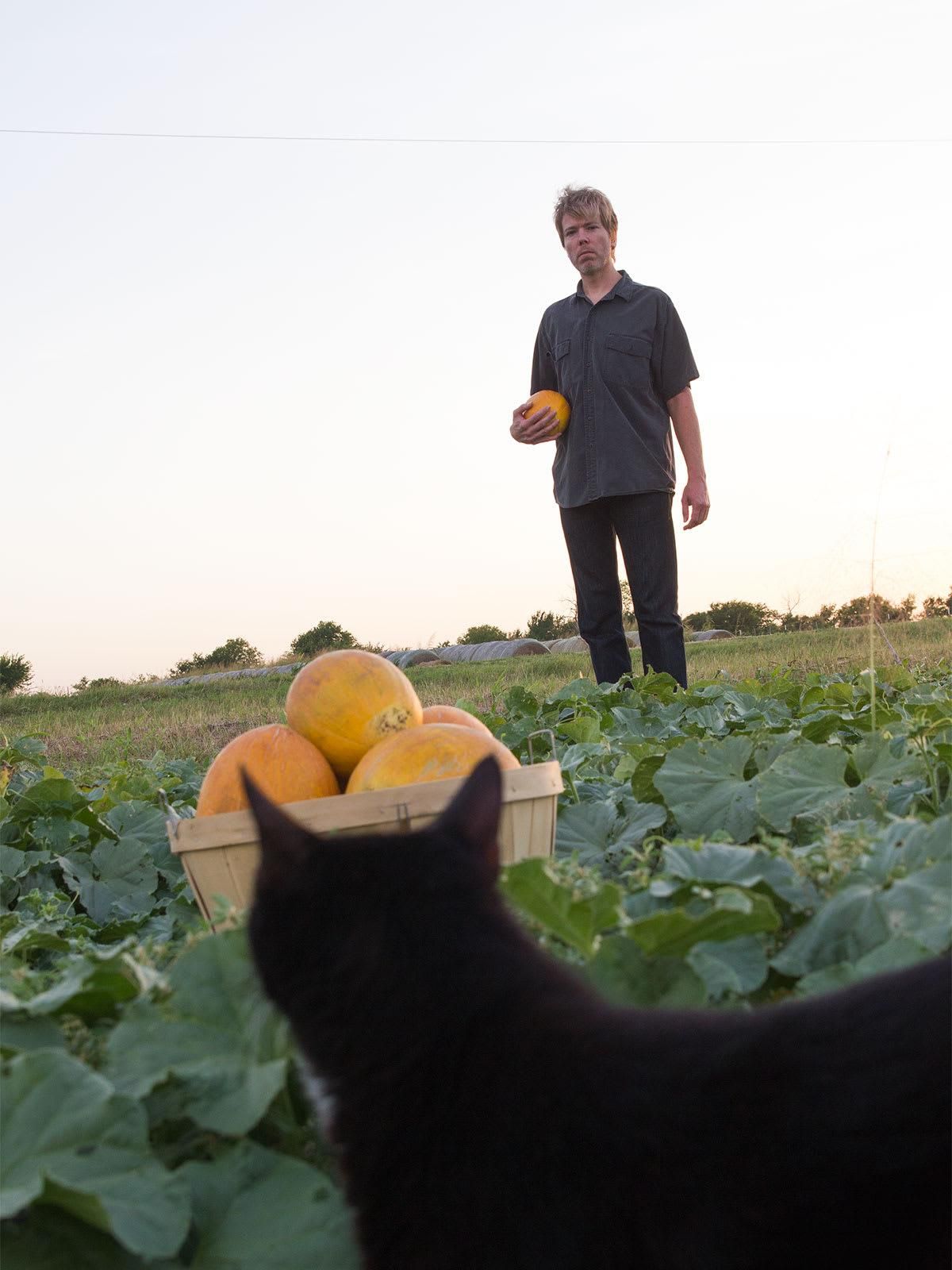 Israeli melons turn bright orange when they ripen, making Marshall ...