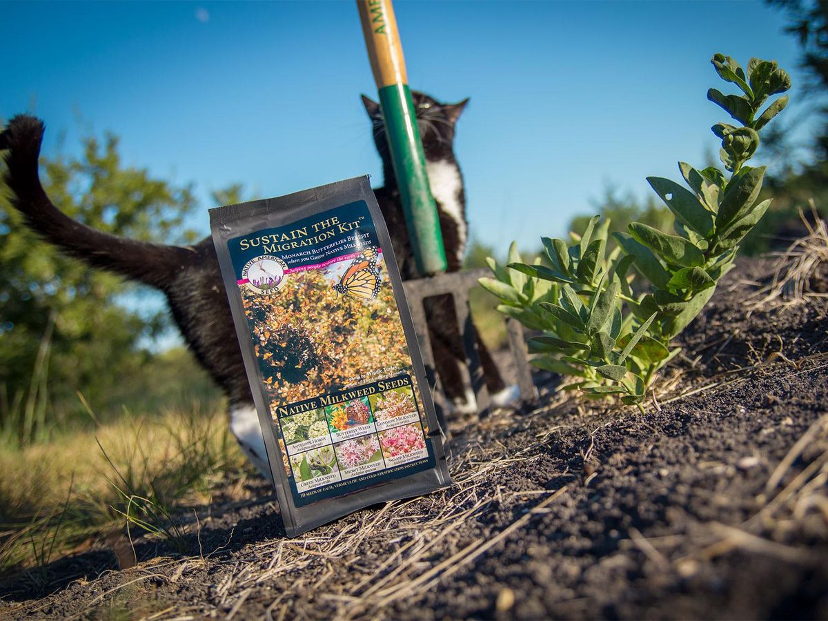 Native American Seed's Sustain the Migration Kit has a variety of ...