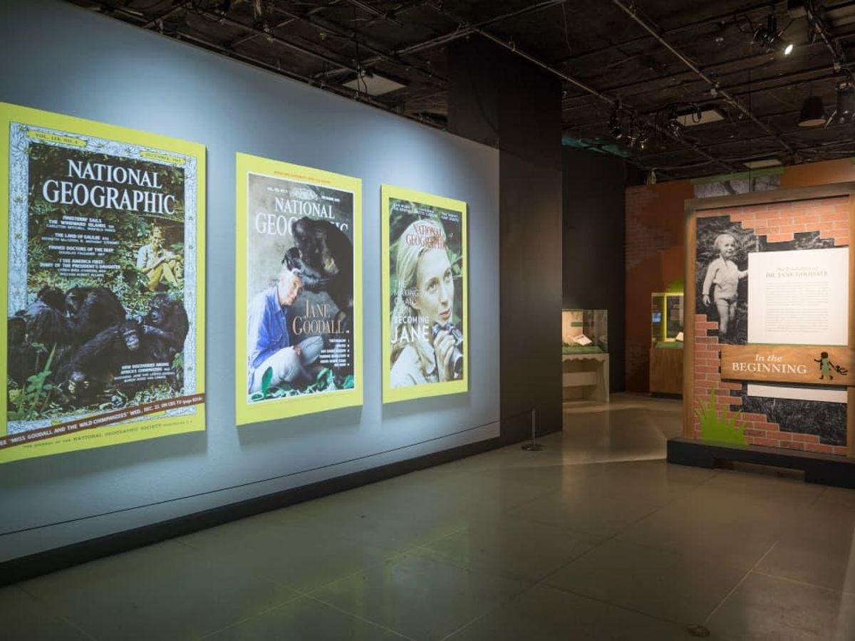 It's the final weekend for "Becoming Jane: The Evolution of Dr. Jane ...