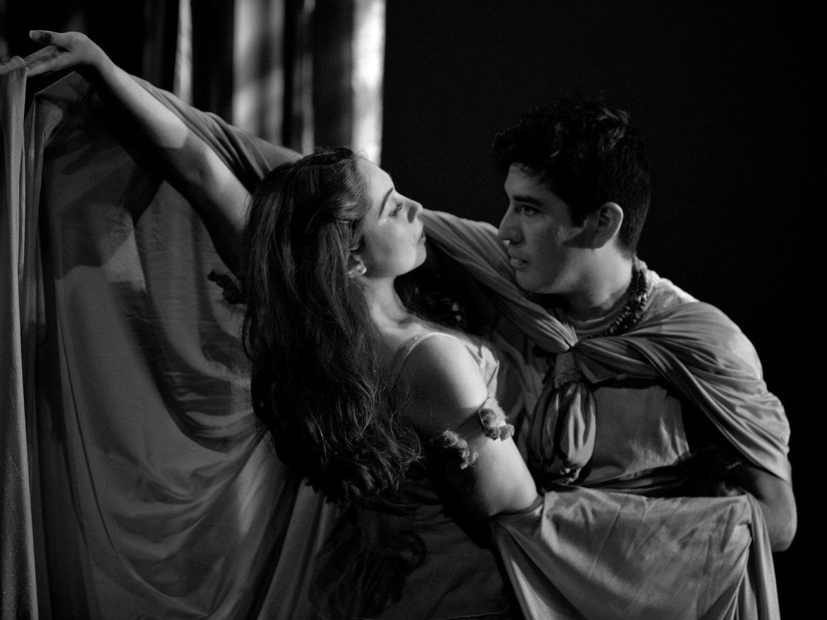 The Magic Rainforest. - CultureMap Dallas