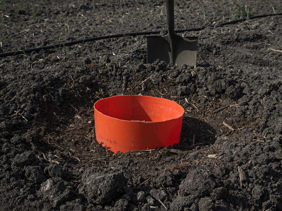 The opposite of a mound, a basin 3 feet in diameter was dug in freshly ...