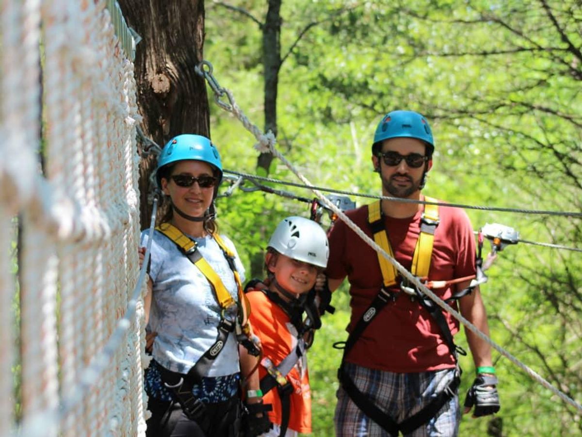 Take the family on an adventure at Trinity Forest Adventure Park ...
