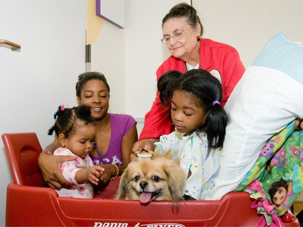 Texas Scottish Rite has gone to the dogs! But pet therapy makes young ...