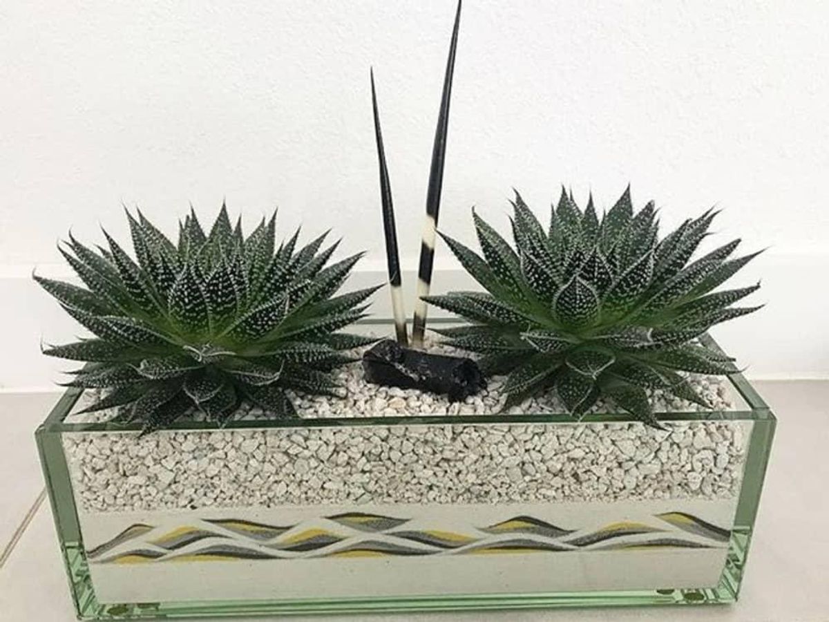 Urban Spikes arrangement. - CultureMap Dallas