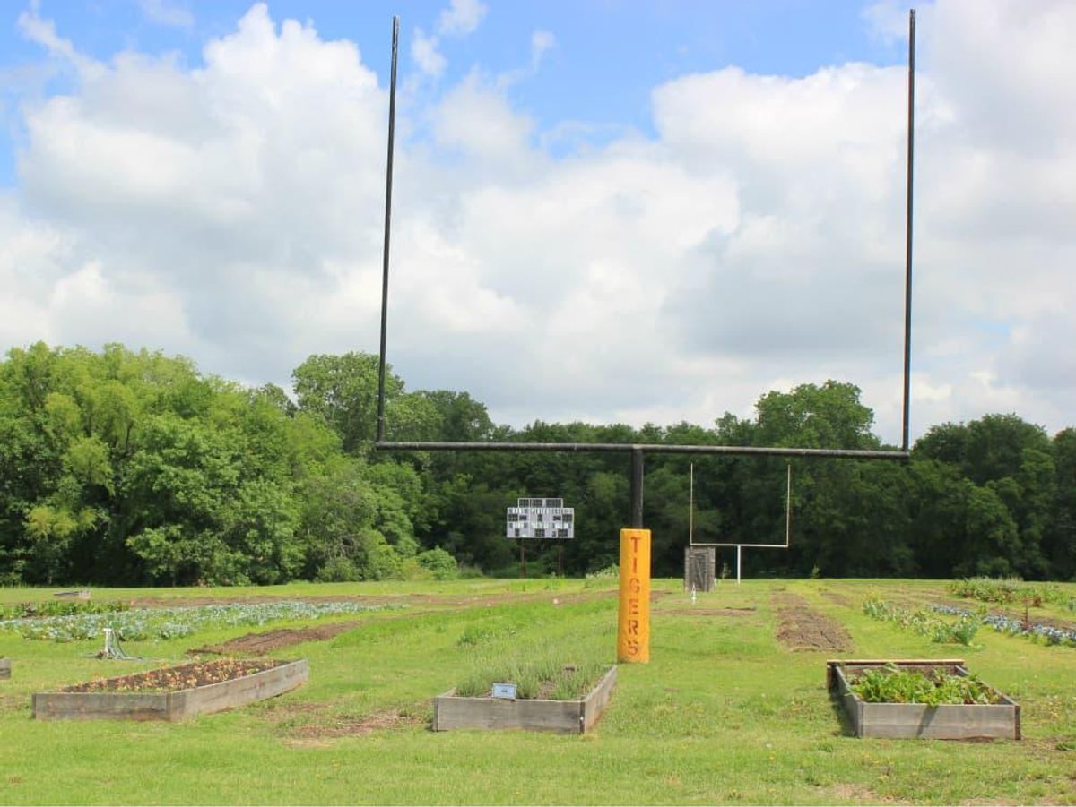 Join Paul Quinn College for Community Cooks in support of We Over Me ...